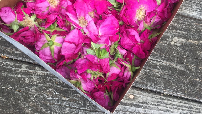 organic skin care – ISA SKIN CARE